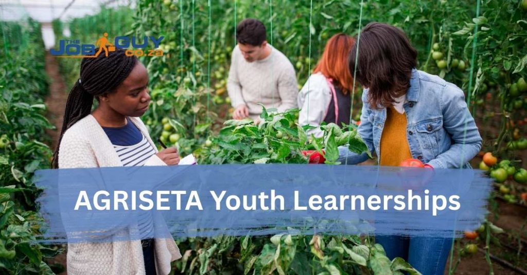 AGRISETA Youth Learnership 2026/2027